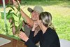 Plant Observation - Enhancing Our Capacities to Perceive and Understand ...