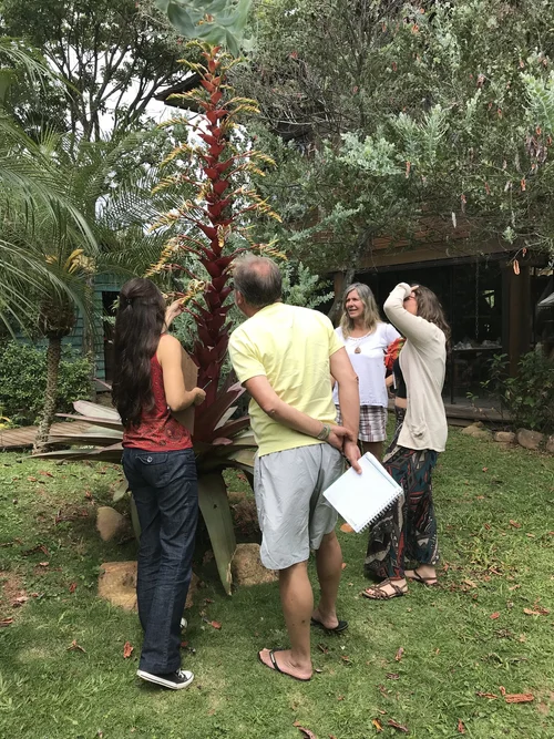 Plant Observation - Enhancing Our Capacities to Perceive and Understand ...