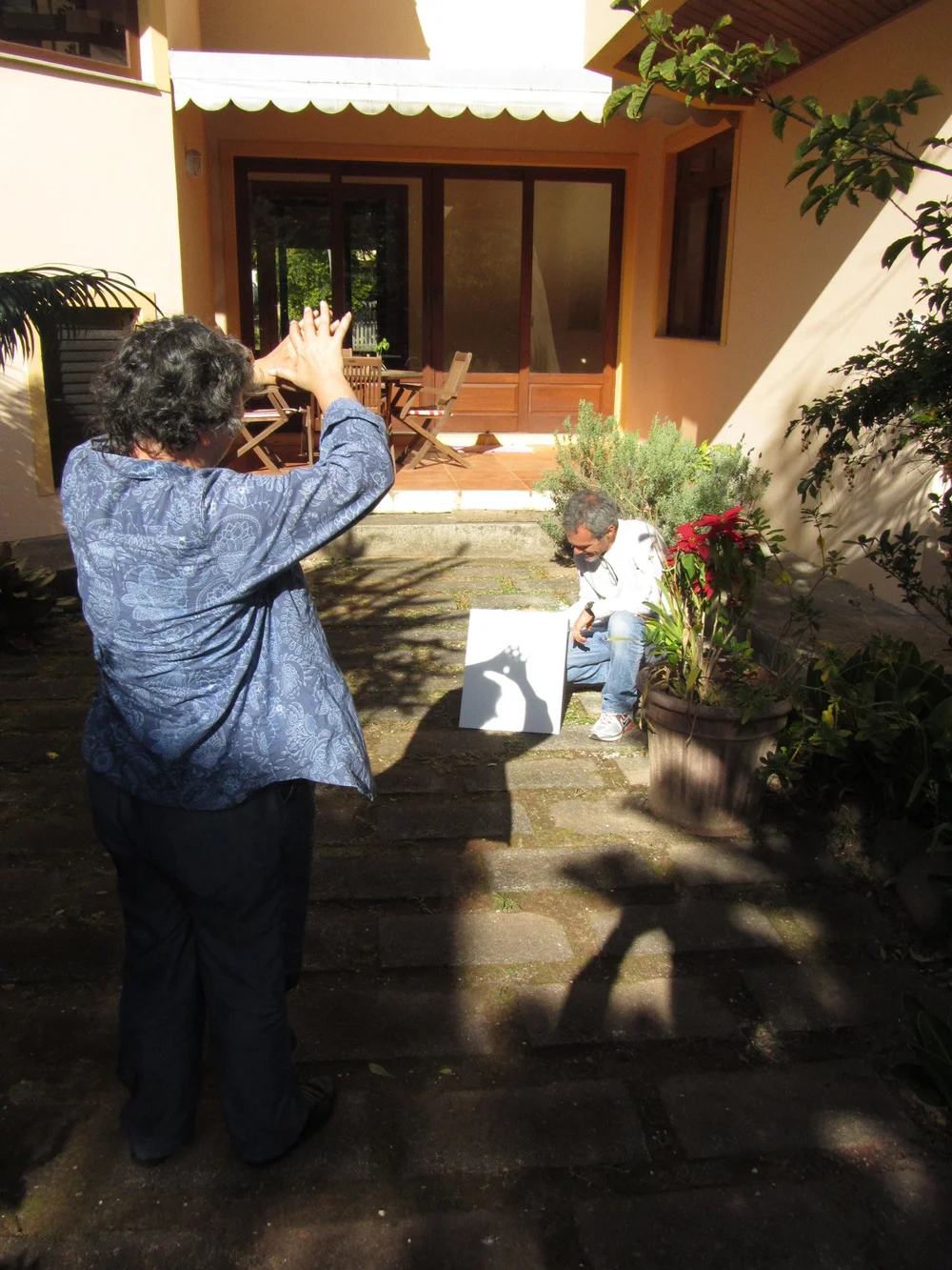 Shadows and the Sun — The Nature Institute