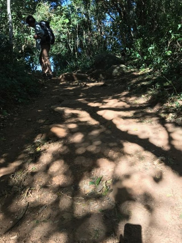Shadows and the Sun — The Nature Institute