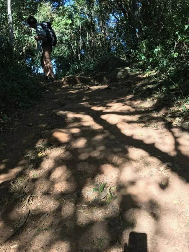 Shadows and the Sun — The Nature Institute
