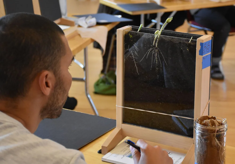 Plant Observation - Enhancing Our Capacities to Perceive and Understand ...