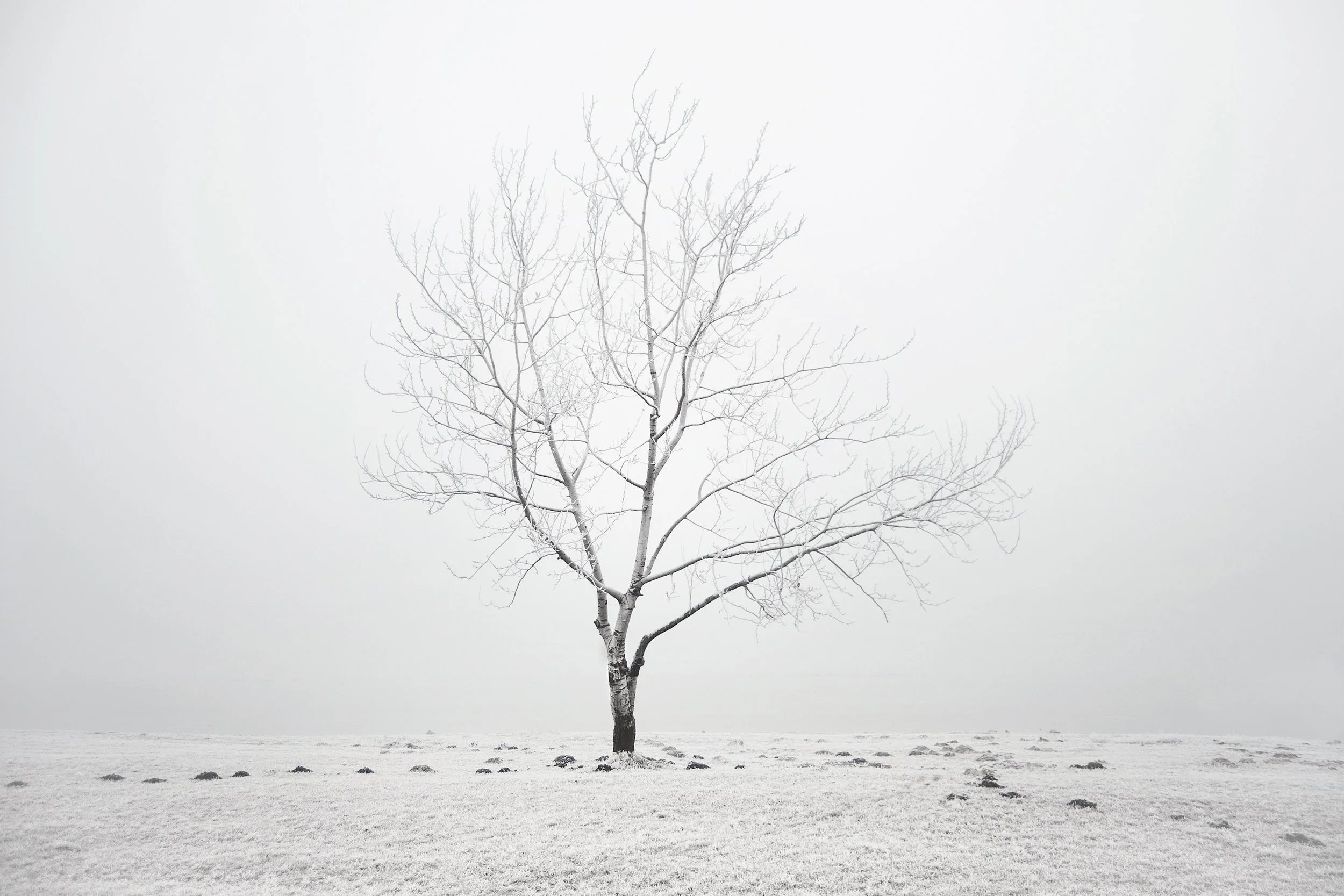 Shirow — BHL Services, Inc.