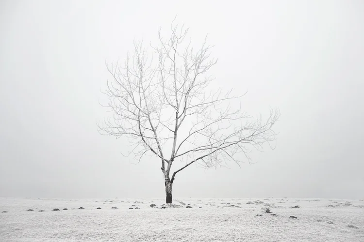 Blog 1 — KEVIN CHIN PHOTOGRAPHY + CINEMA