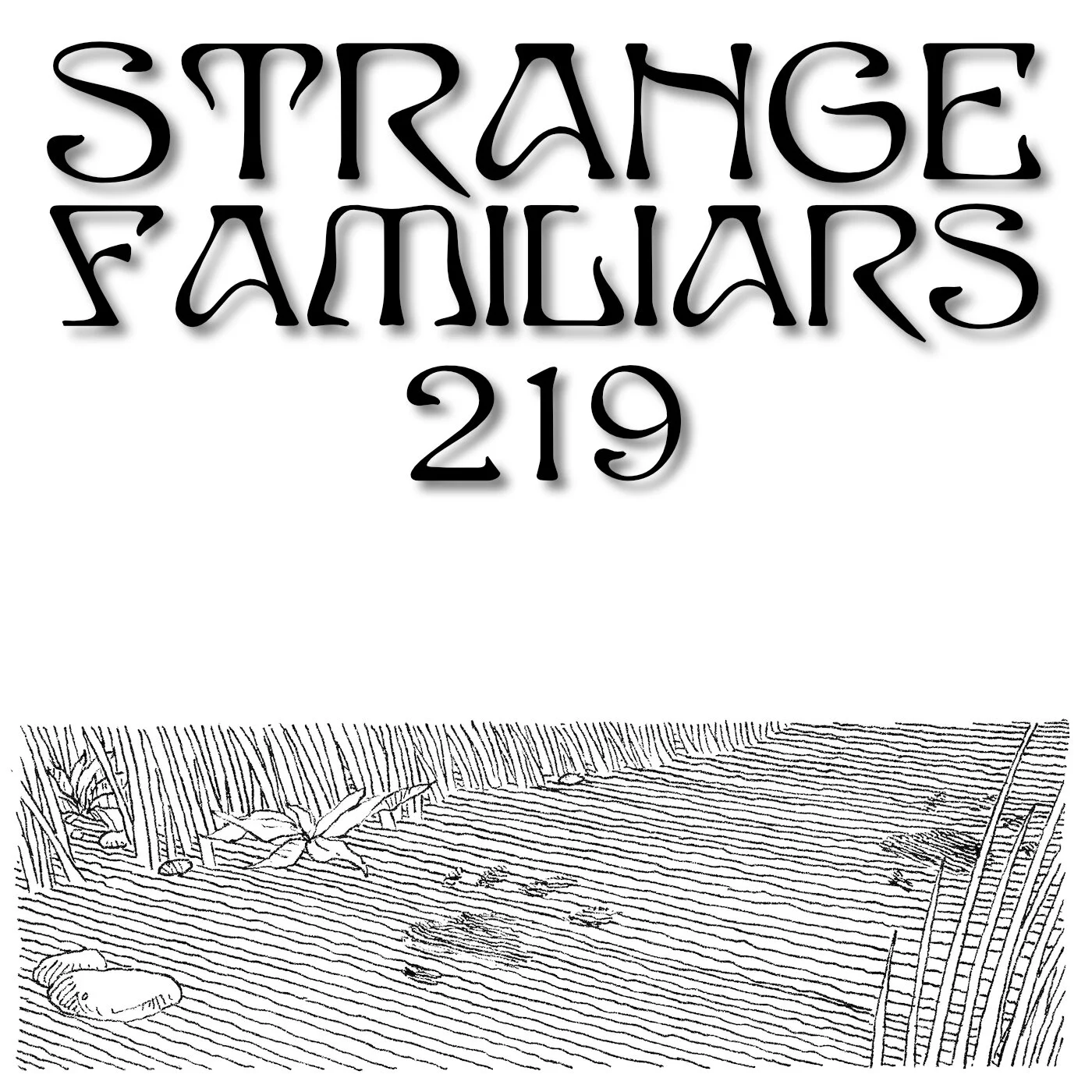 It Walked In Front Of My Car Strange Familiars It Walked In Front Of My Car Strange Familiars