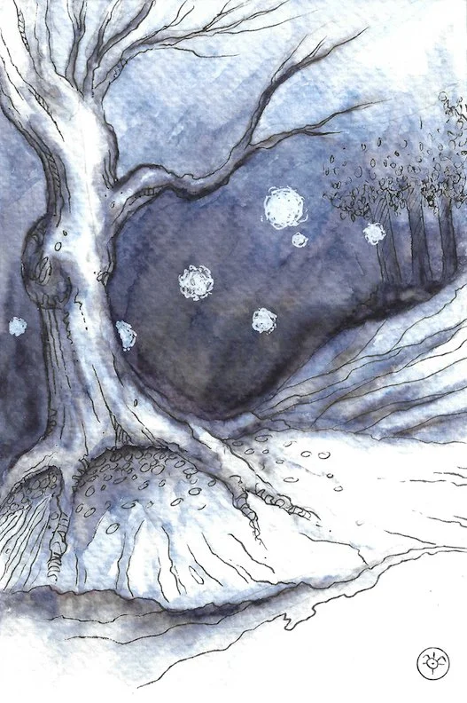 Apparitions, Orbs, Eyeshine, and More — Strange Familiars