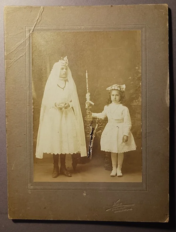 The Victorian Blood Book — Strange Familiars