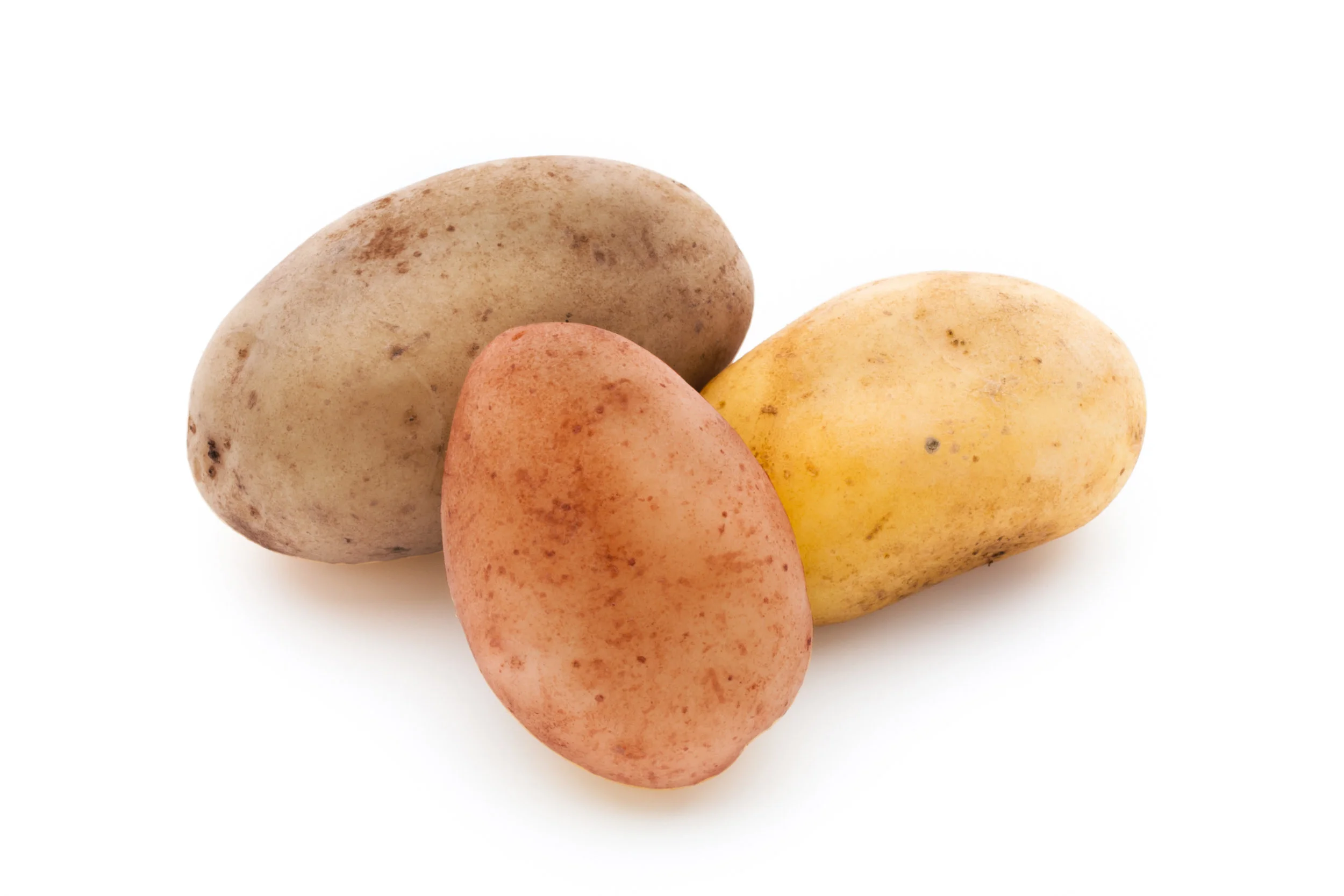 Fresh Packed Potatoes — PRAIRIE GOLD PRODUCE