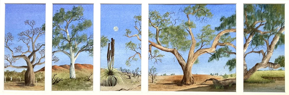 Watercolour Gallery: Shared Spaces, by Australian painter, Nina Paine ...