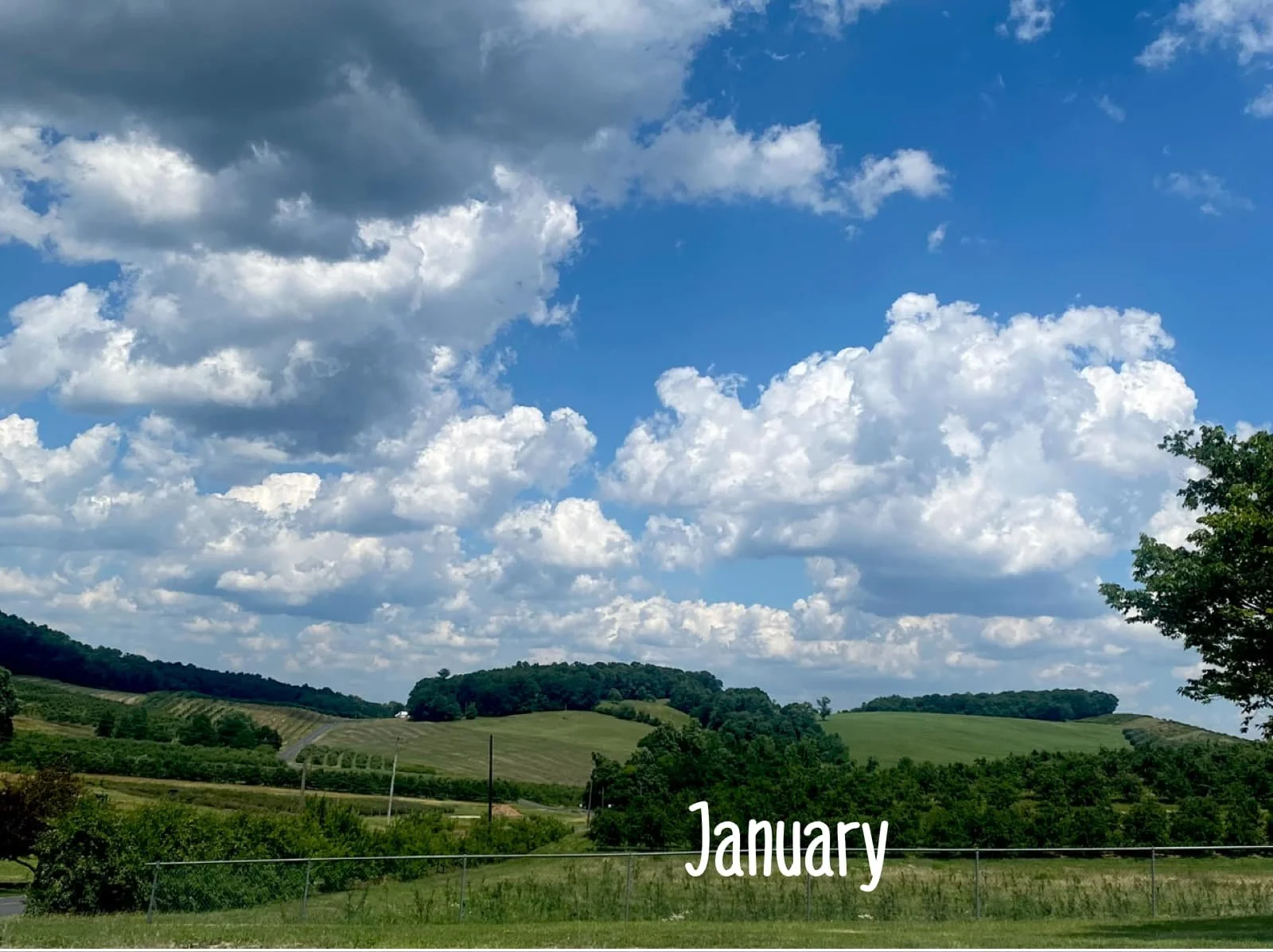 CLASSES — Stephie Clark