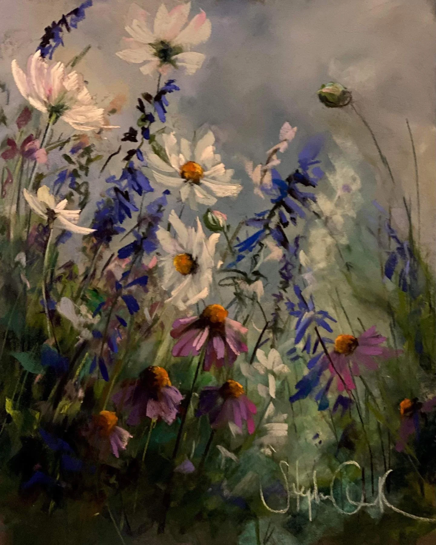 STORE — Stephie Clark