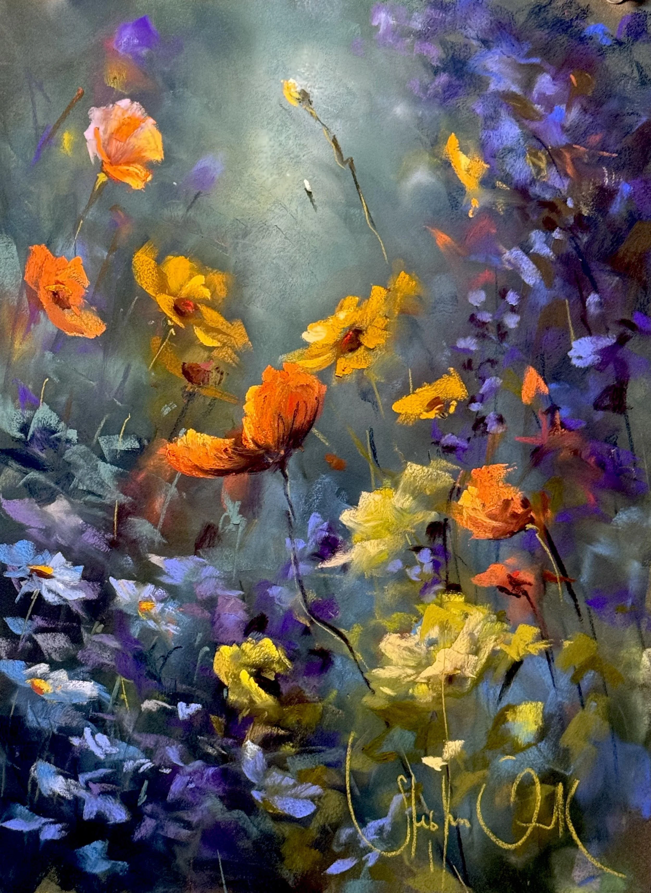 STORE — Stephie Clark