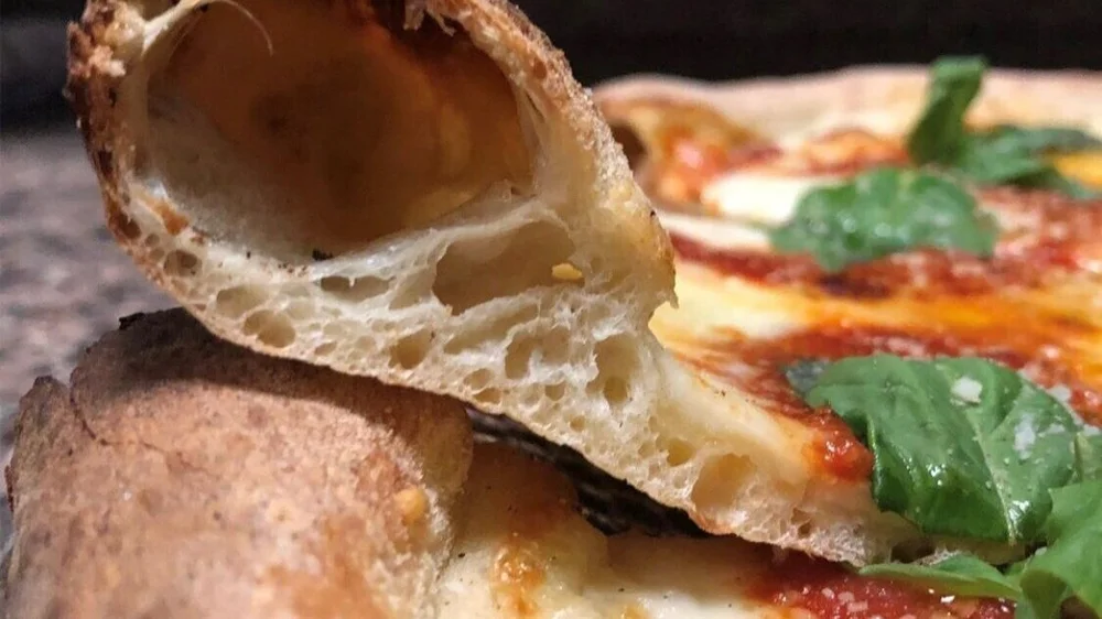 Testimonials — PROFESSOR PIZZA