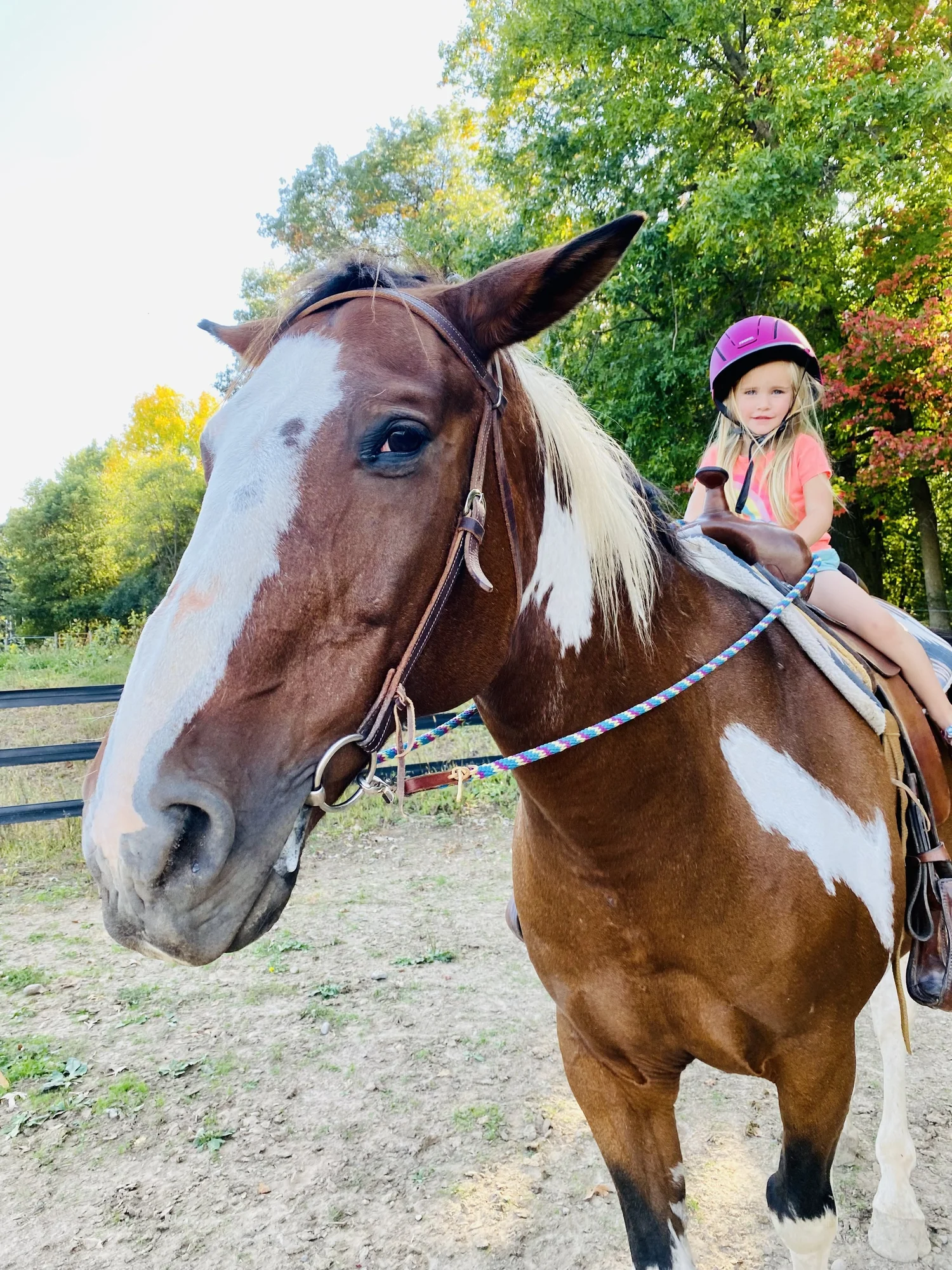 Meet the "Staff" — Dizzy Jay Farm