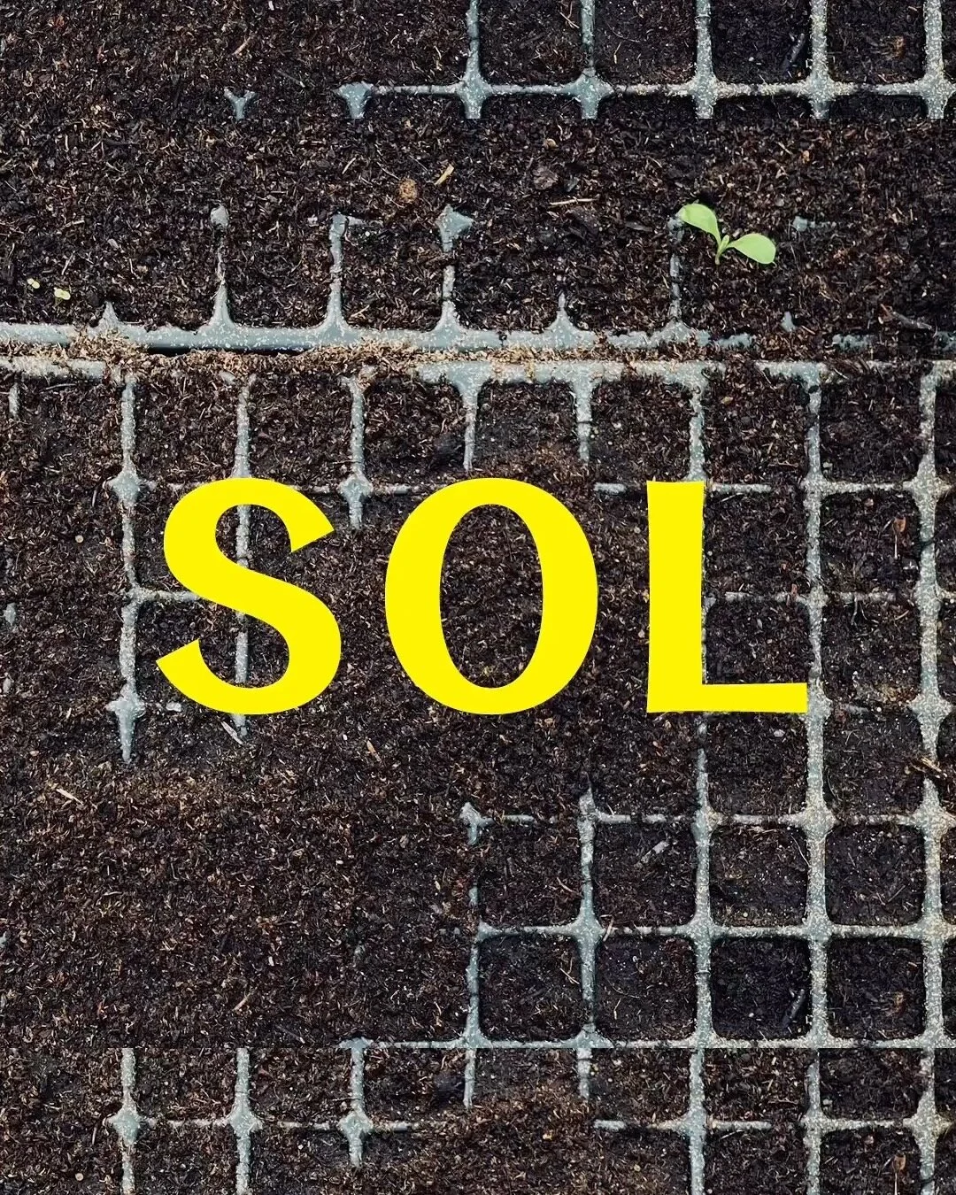 La Ferme de Brouage - maraichage bio en agroforesterie