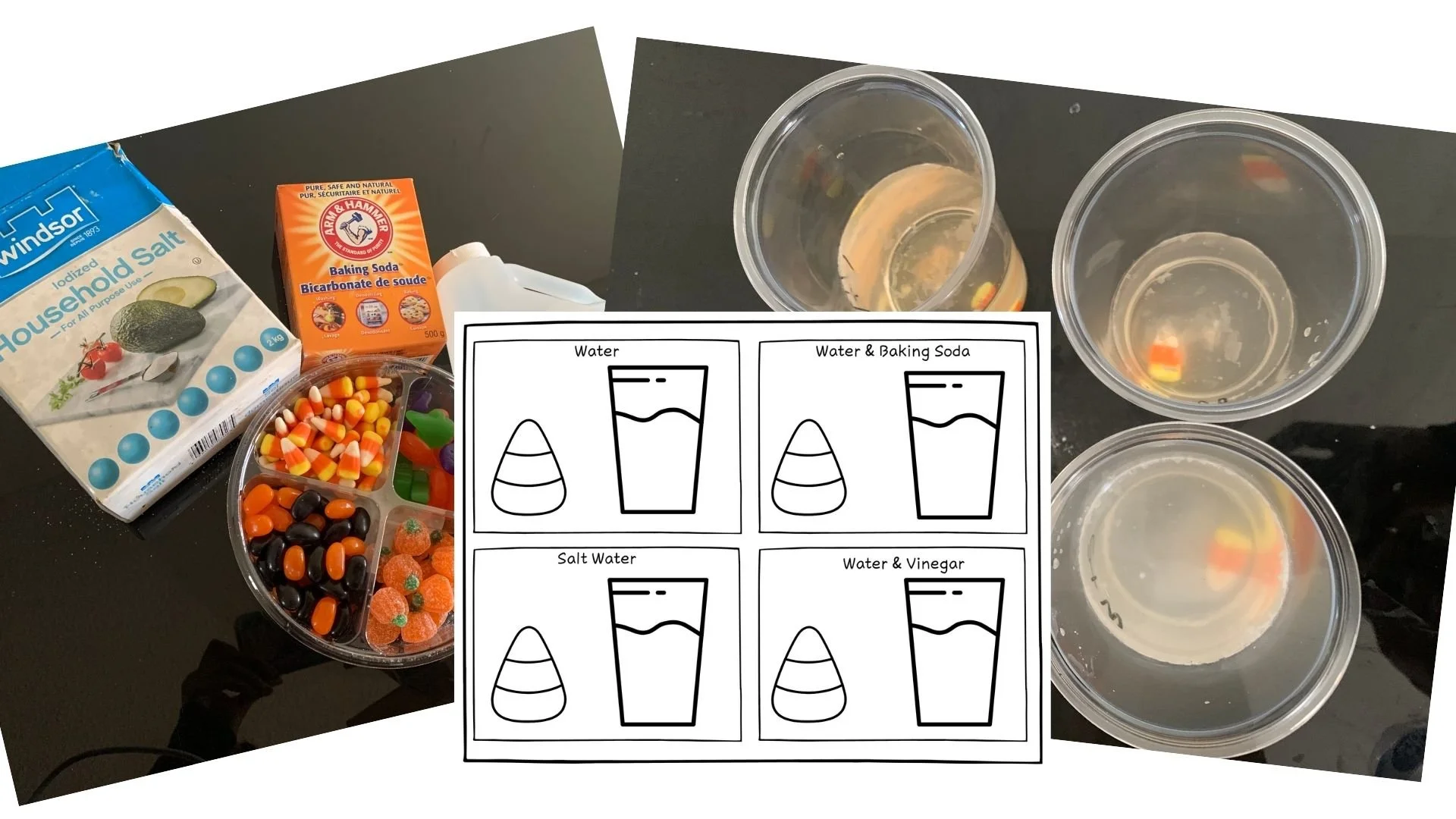 Top 3 Halloween STEM Activities This Season — The STEM Girl