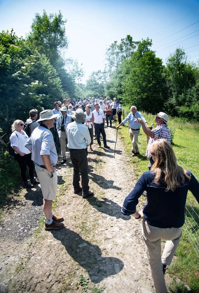 Silver Lapwing — The Farming and Wildlife Advisory Group