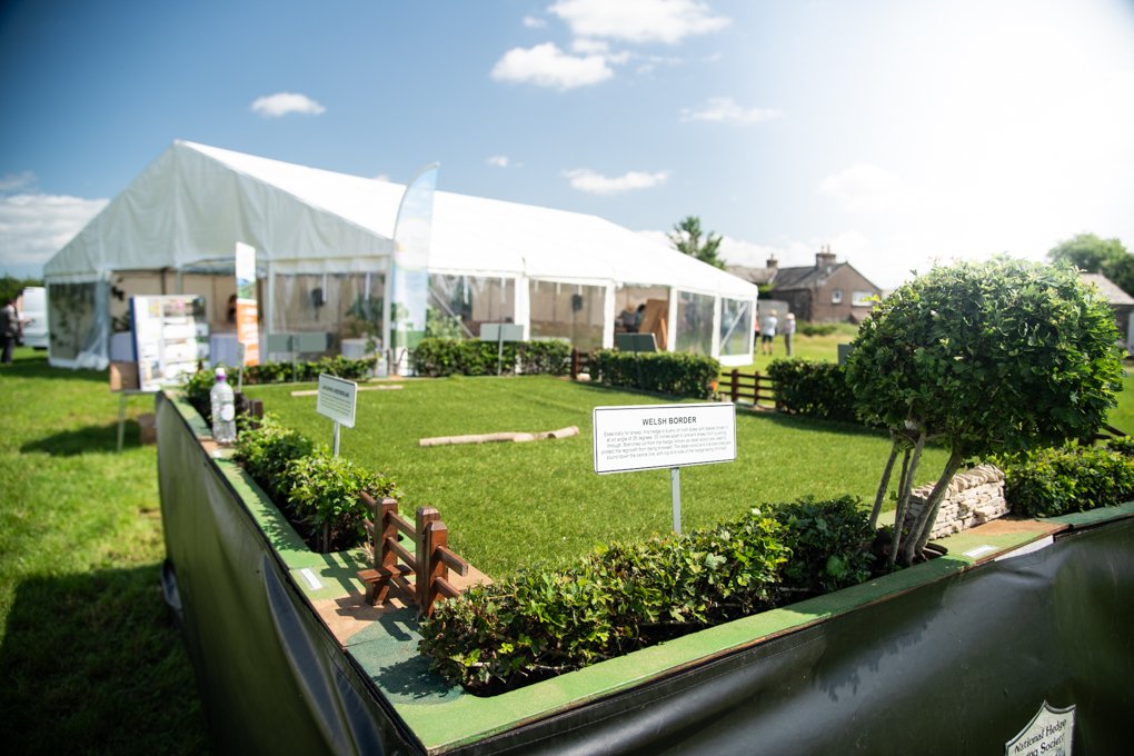 Silver Lapwing — The Farming and Wildlife Advisory Group