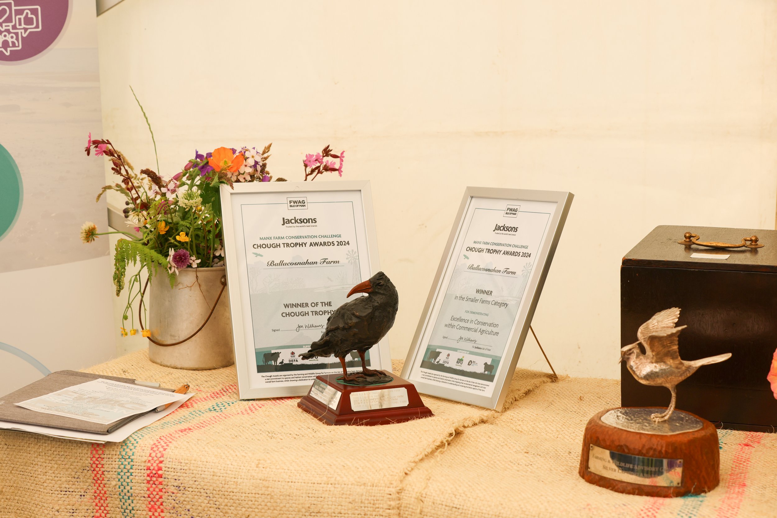 Silver Lapwing — The Farming and Wildlife Advisory Group