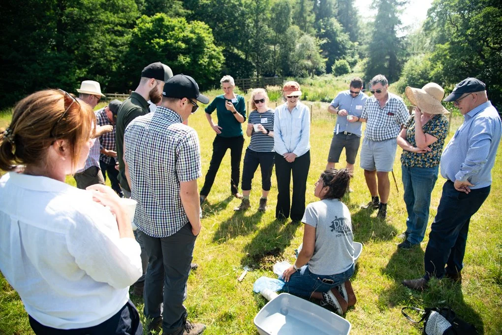 Silver Lapwing — The Farming and Wildlife Advisory Group