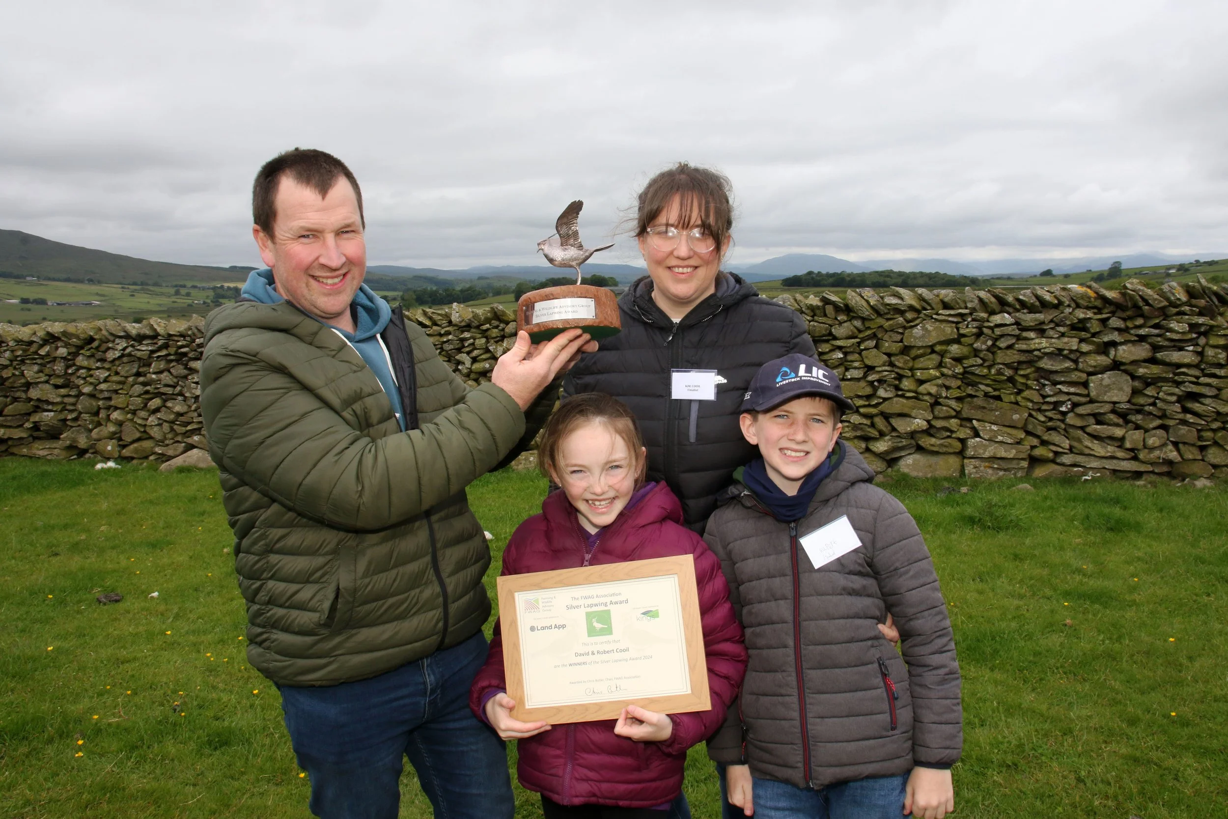 Silver Lapwing — The Farming and Wildlife Advisory Group