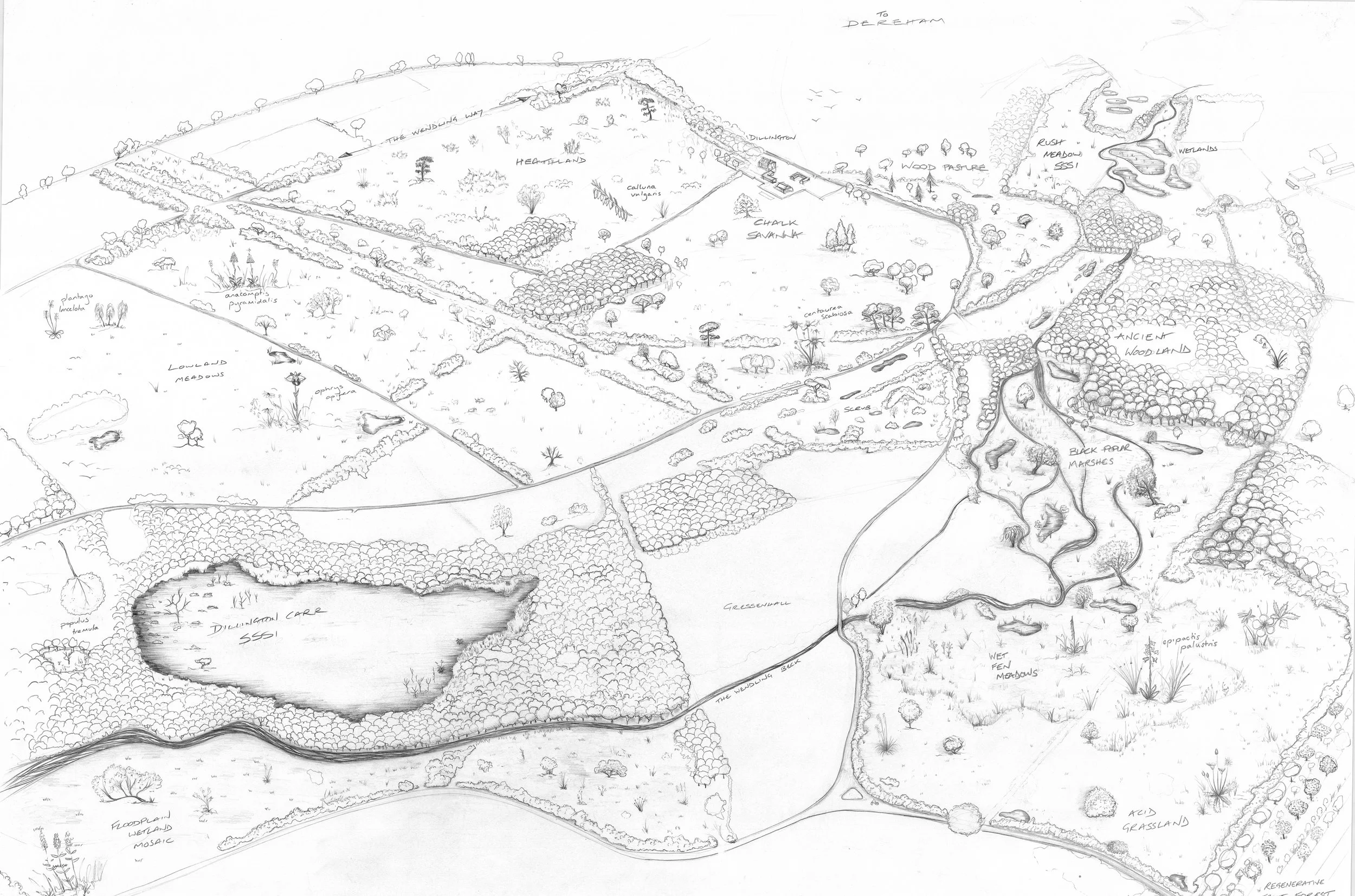 The Wendling Beck Environment Project Update 2 — Digg & Co. Studio