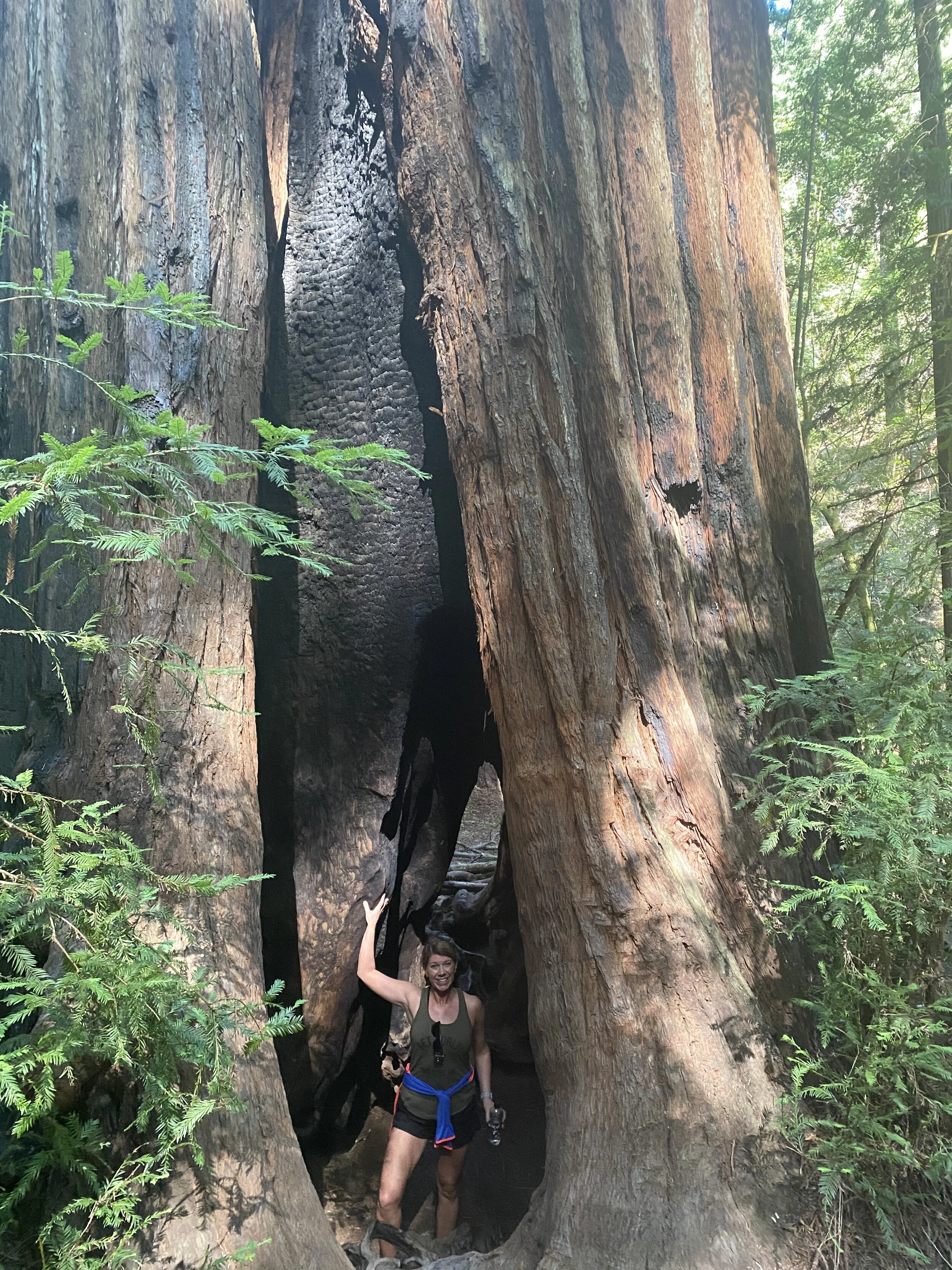 Blog — Lyons Center, LLC