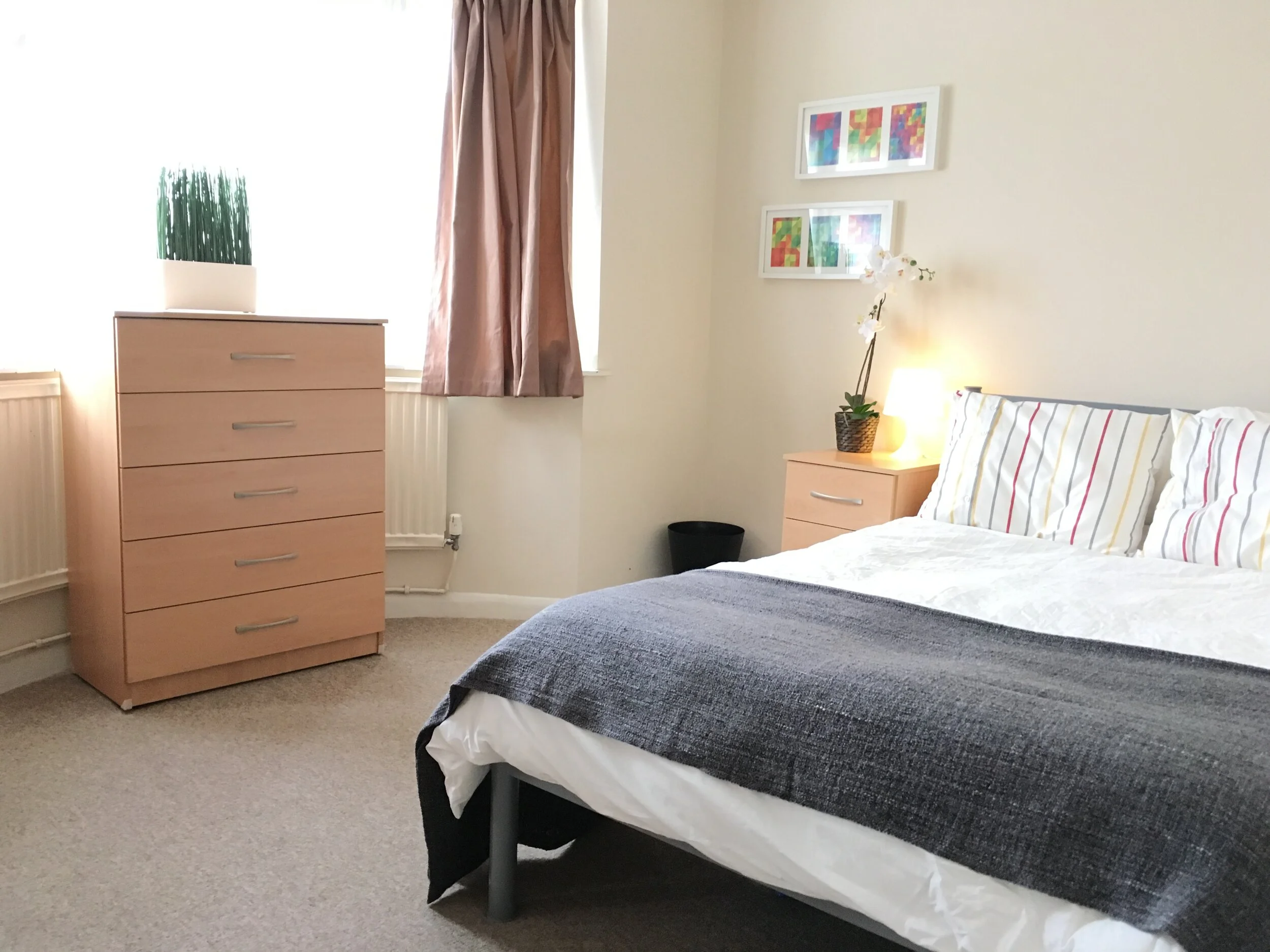 Availability — Homeplace Co-Living | Shared Rooms to Rent Greater ...