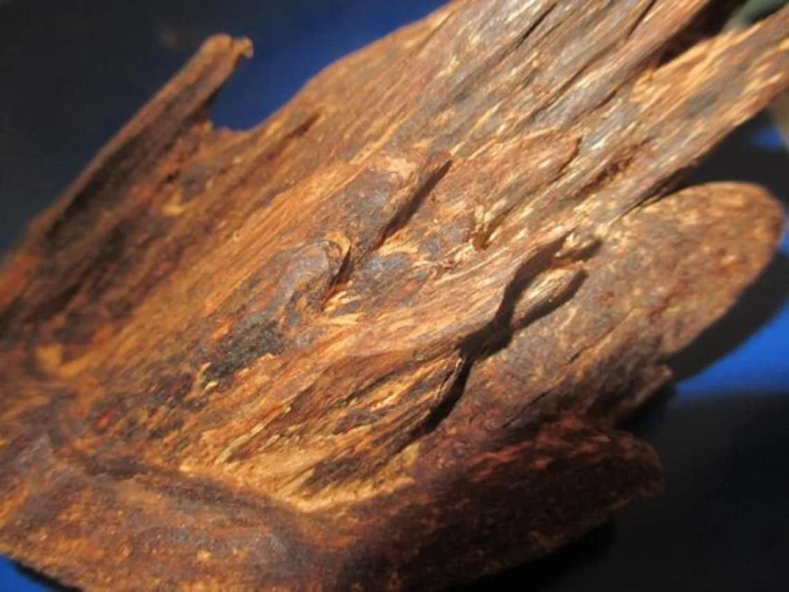 GREEN KINAM/KYARA/KYNAM • genuine wild Vietnamese kinam agarwood • Hue ...