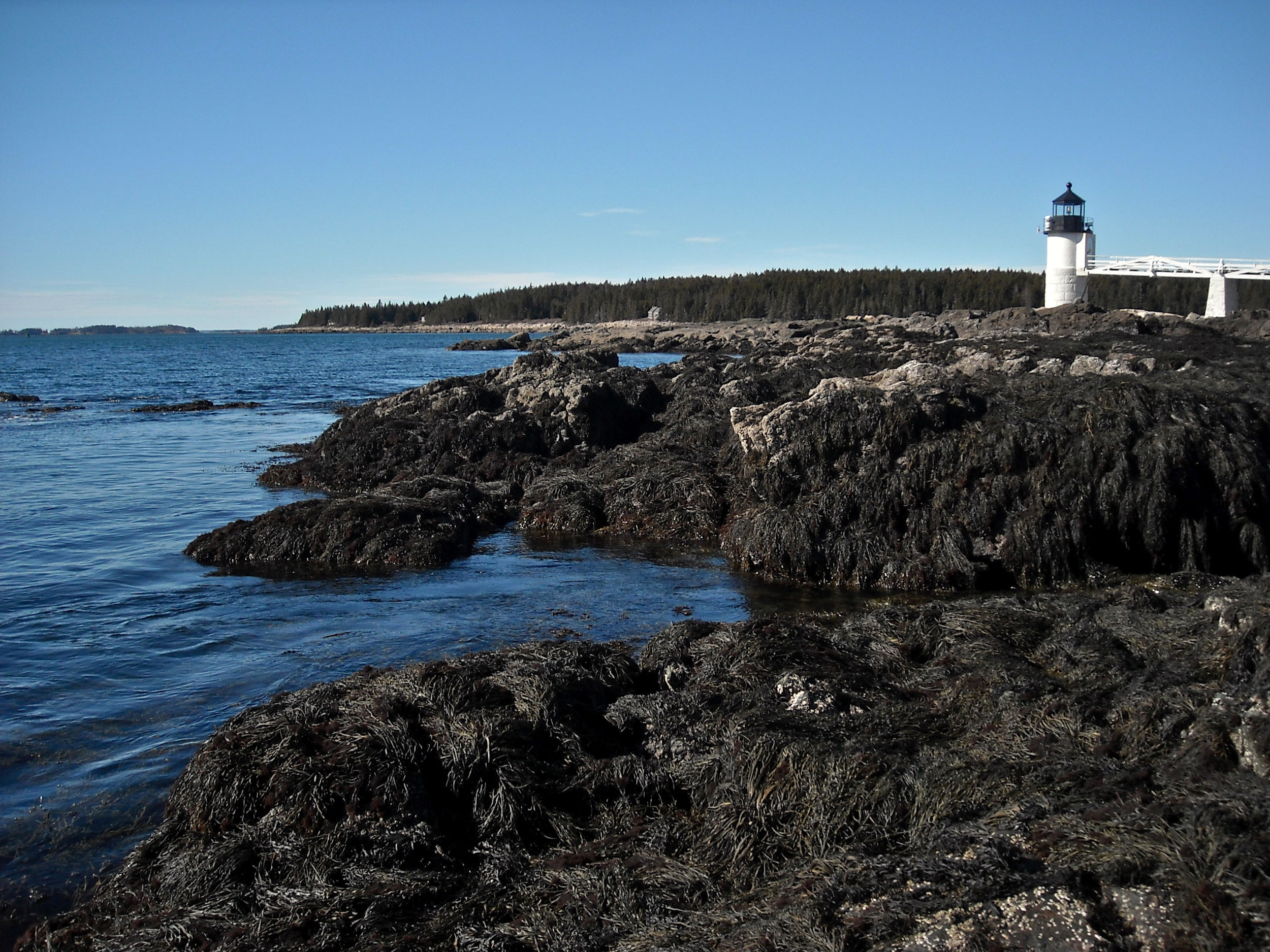 Marshall Point Lighthouse & Museum