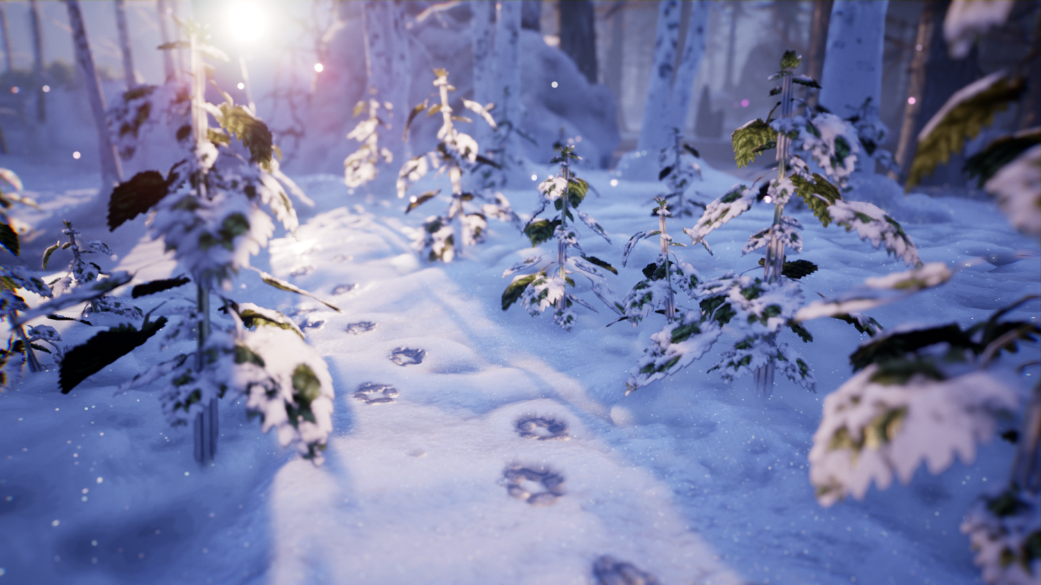 THIS DEAD WINTER