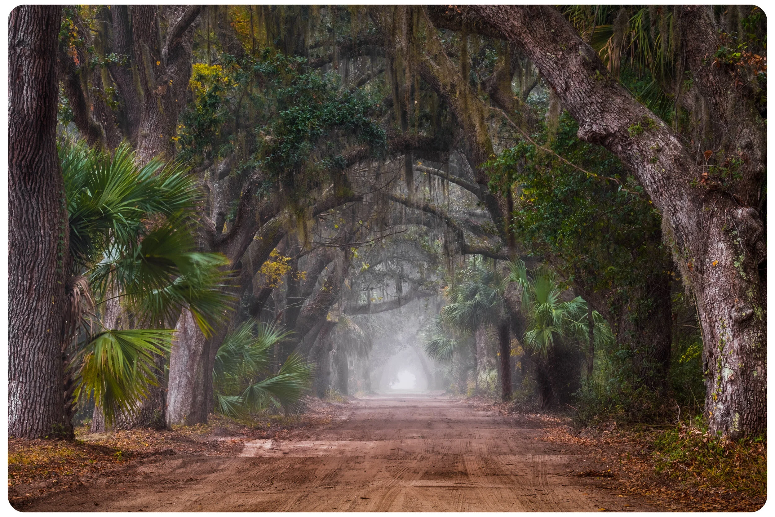 Best of Beaufort Experience — Beaufort Photography Tours