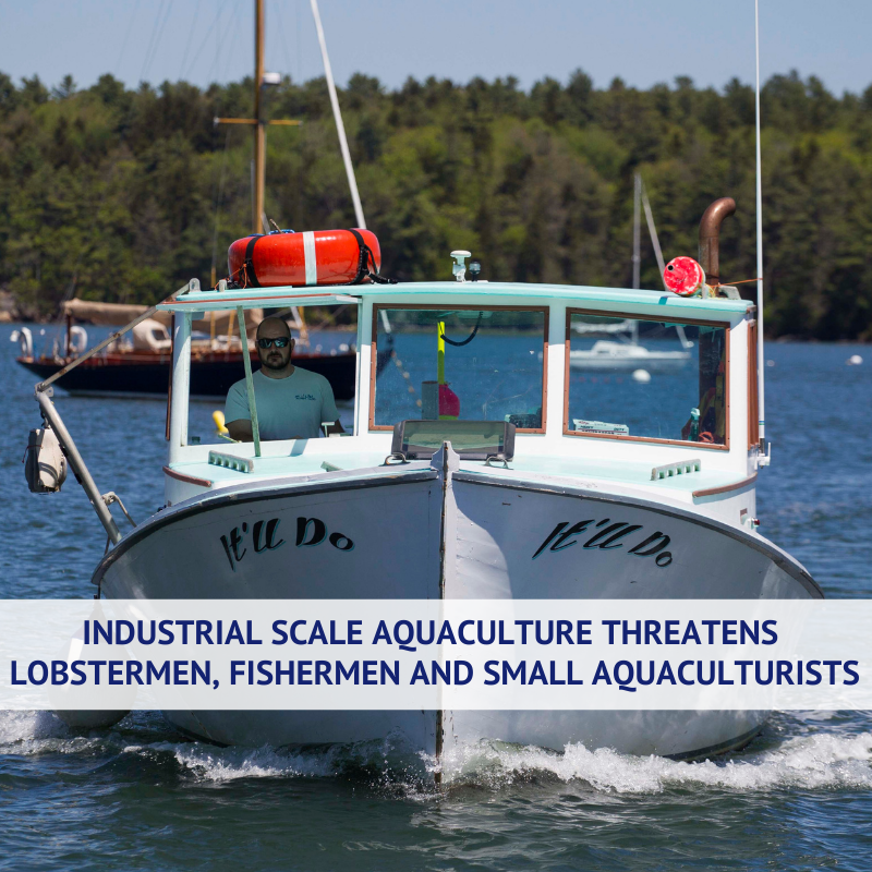 Protect Maine's Fishing Heritage Foundation
