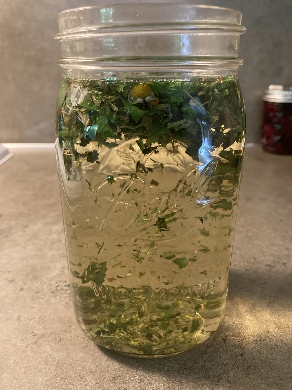Anti-Inflammatory Tea: Feverfew Infusion — Hive Mind Medicine