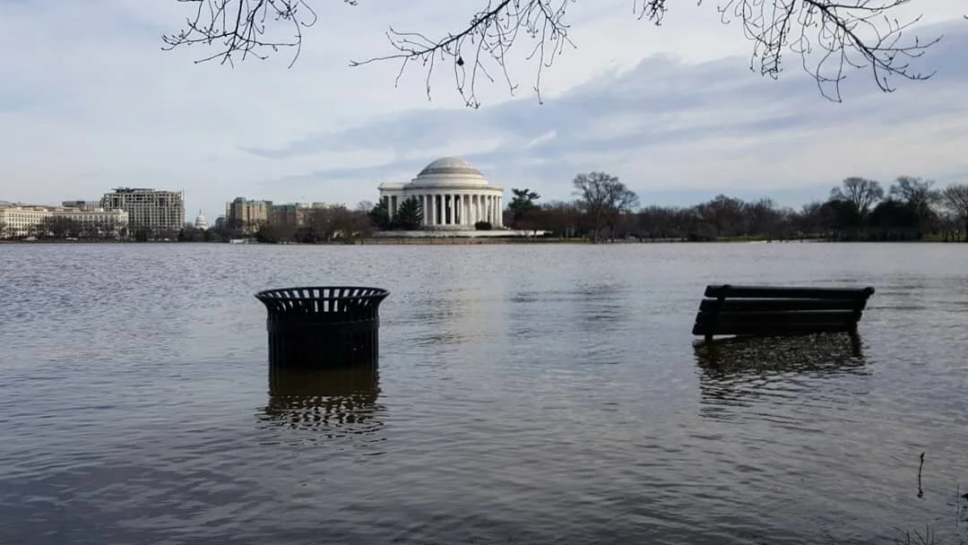 FOX5: Coastal flooding highlights long-term issues at Tidal Basin ...