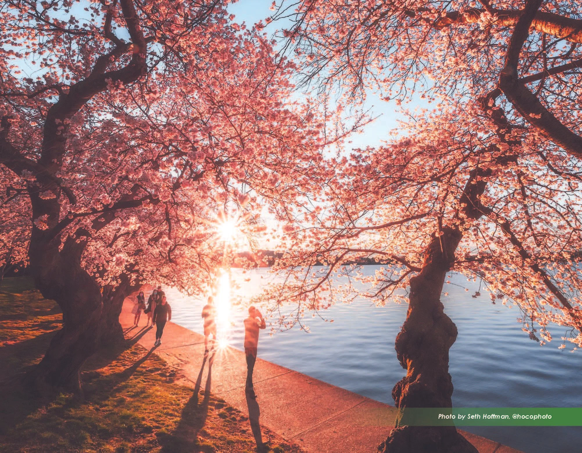 Submit Your Photos for Our Official Calendar — Trust for the National Mall
