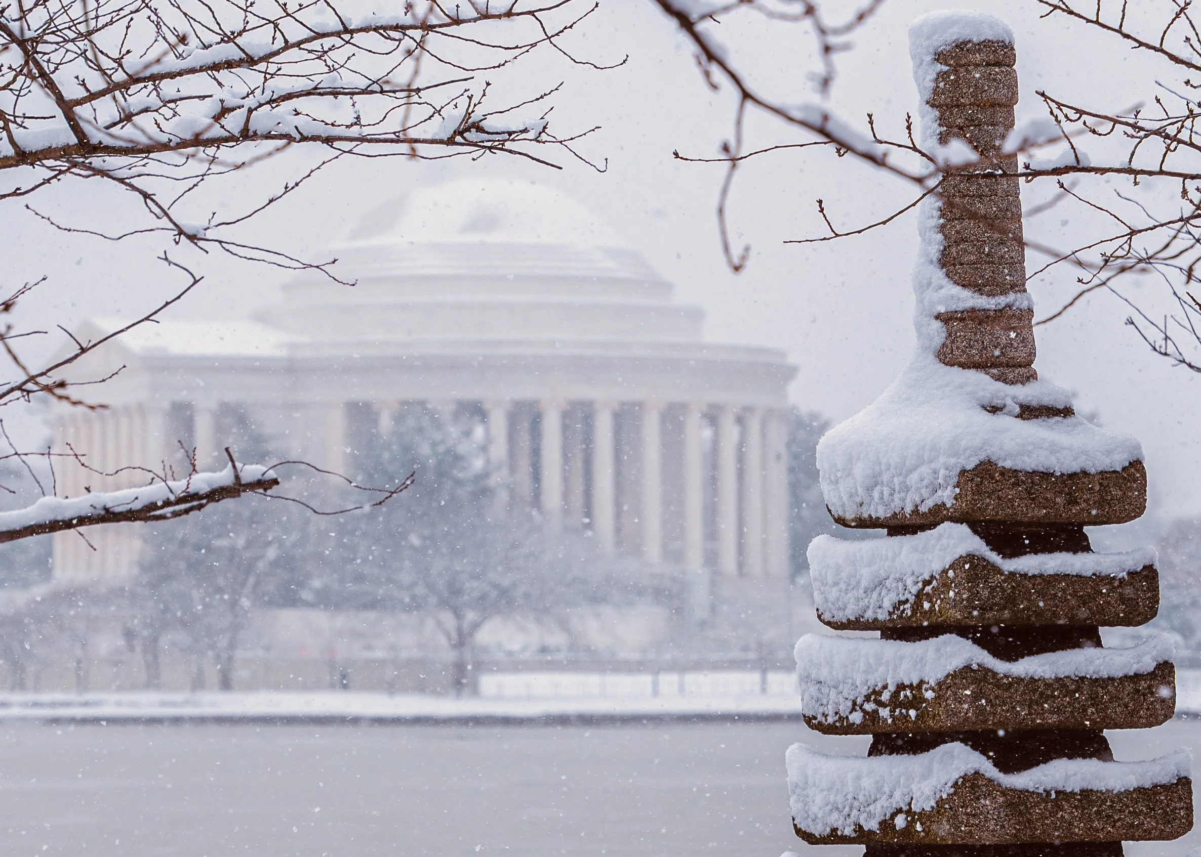 Snow on the National Mall 2024 — Trust for the National Mall