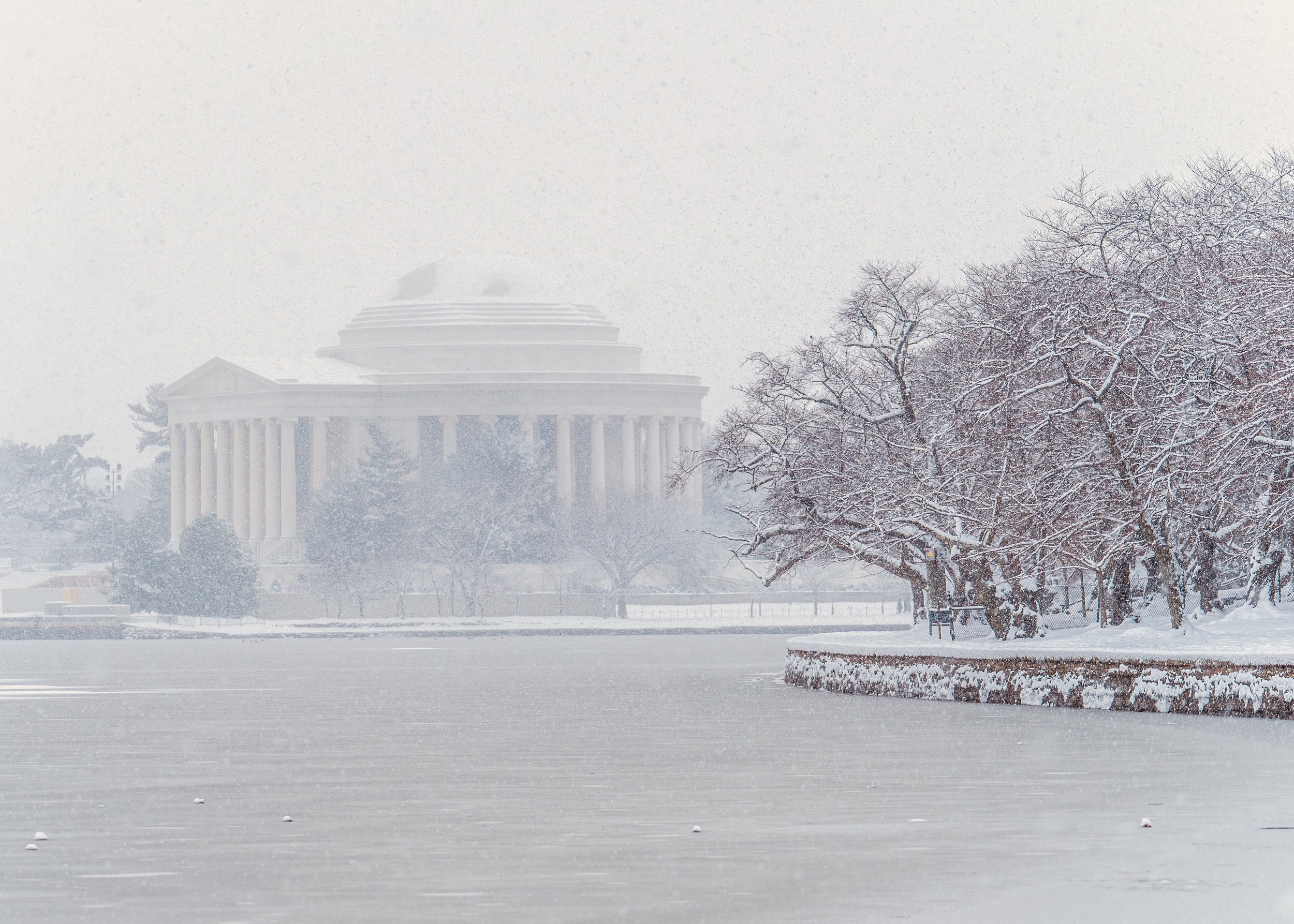 Snow on the National Mall 2024 — Trust for the National Mall