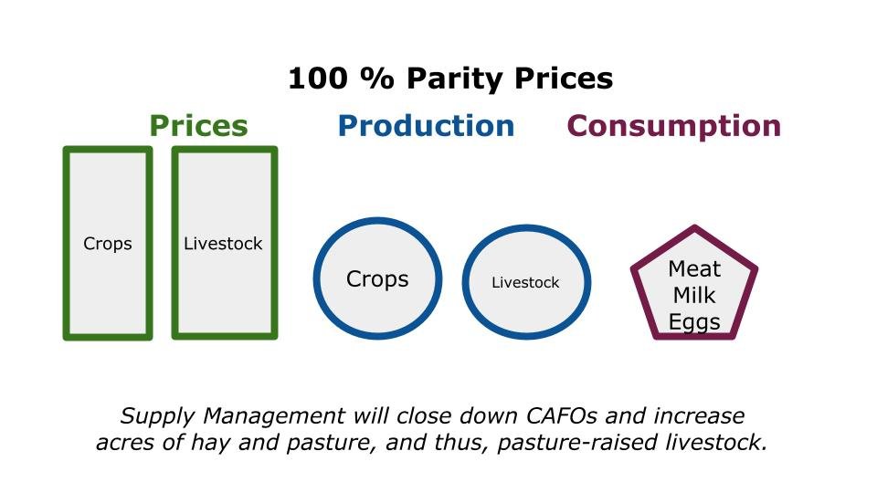 Parity Principles — Clarity on Parity