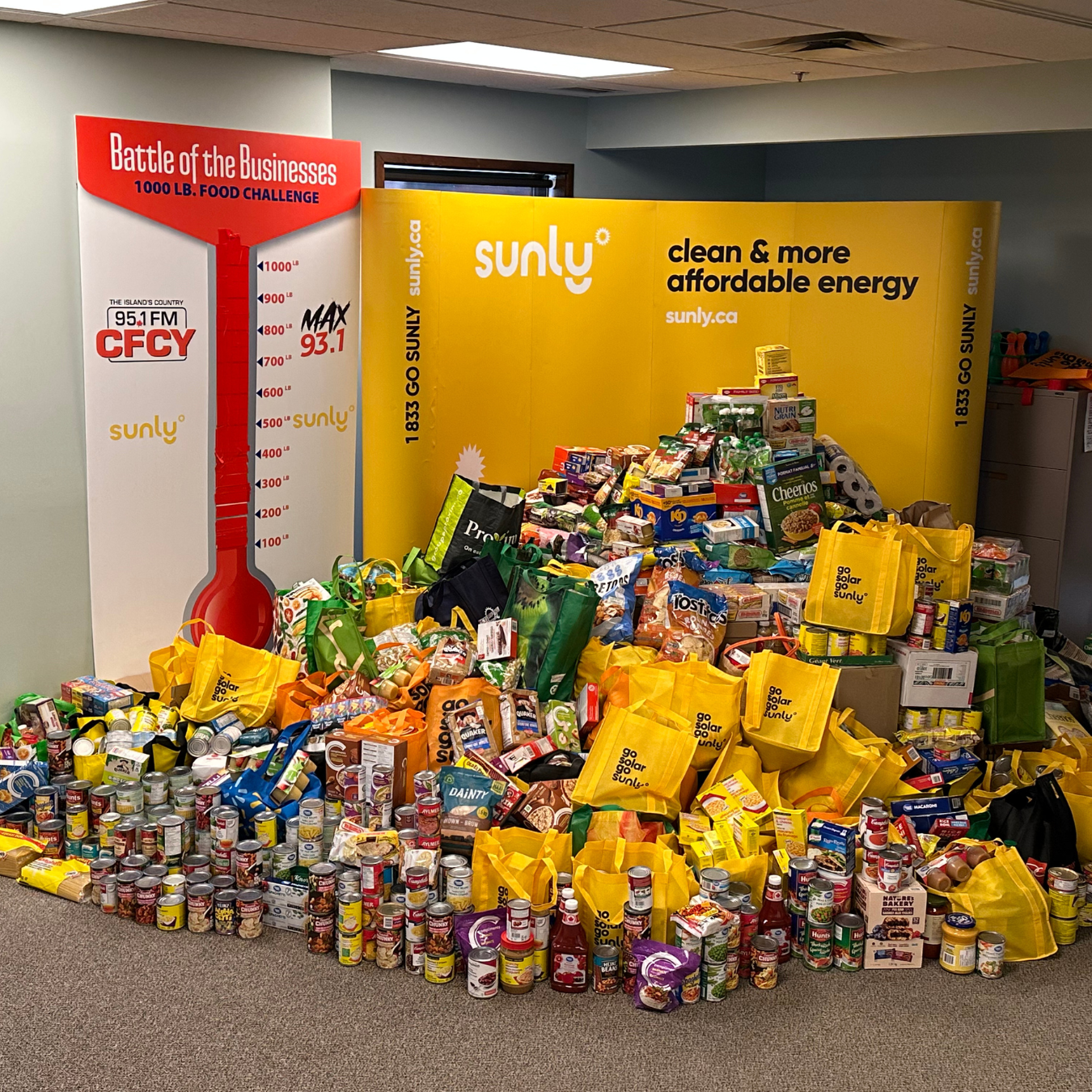 What is a Sunly Franchise? — Sunly Energy