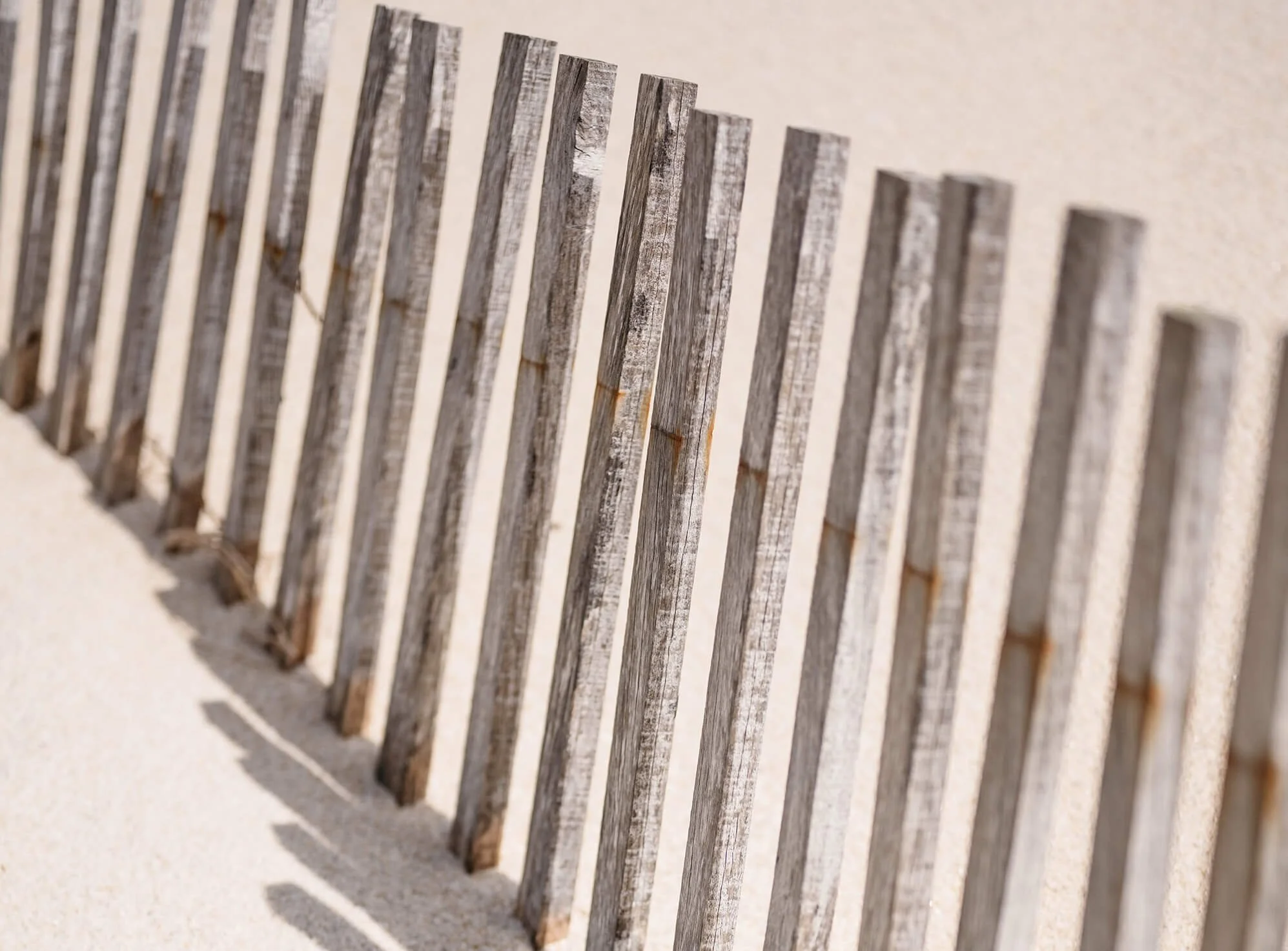 How to Stay Calm During a Fight — Austin Therapy and EMDR