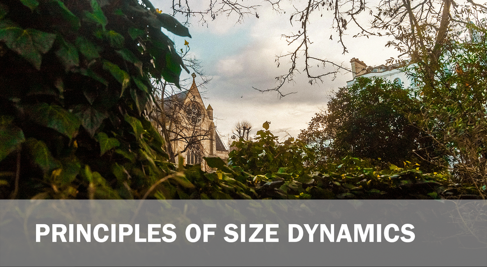 Leadership and Church Size Dynamics: How Strategy Changes with Growth ...