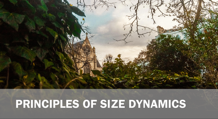 Leadership and Church Size Dynamics: How Strategy Changes with Growth ...