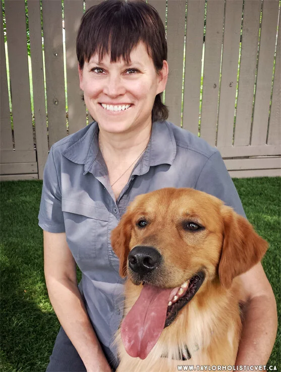 Dr. Laura Taylor ,DVM
