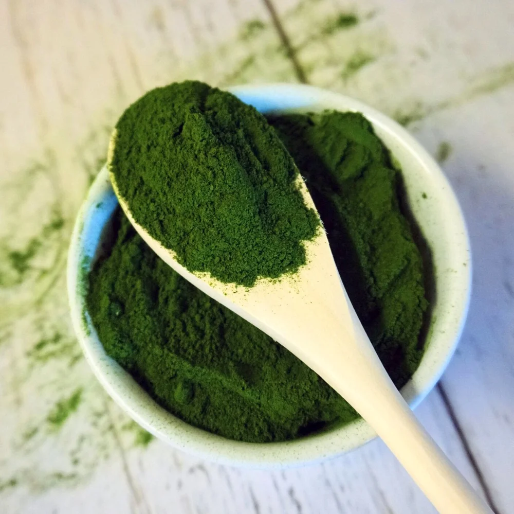 New Algae Company | Algae News | Algae Future Food