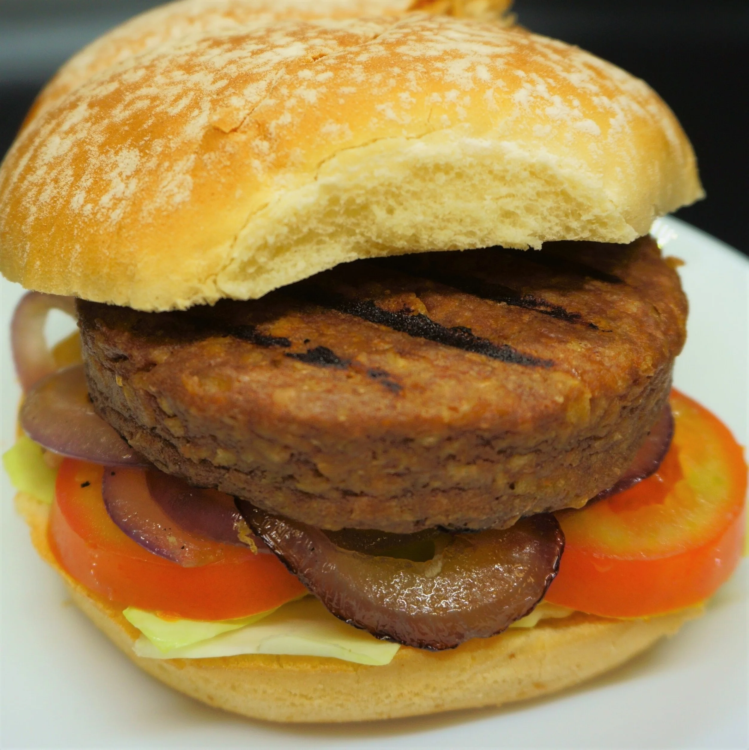 Algae Meat Substitute | Plant-Based Meat Alternative