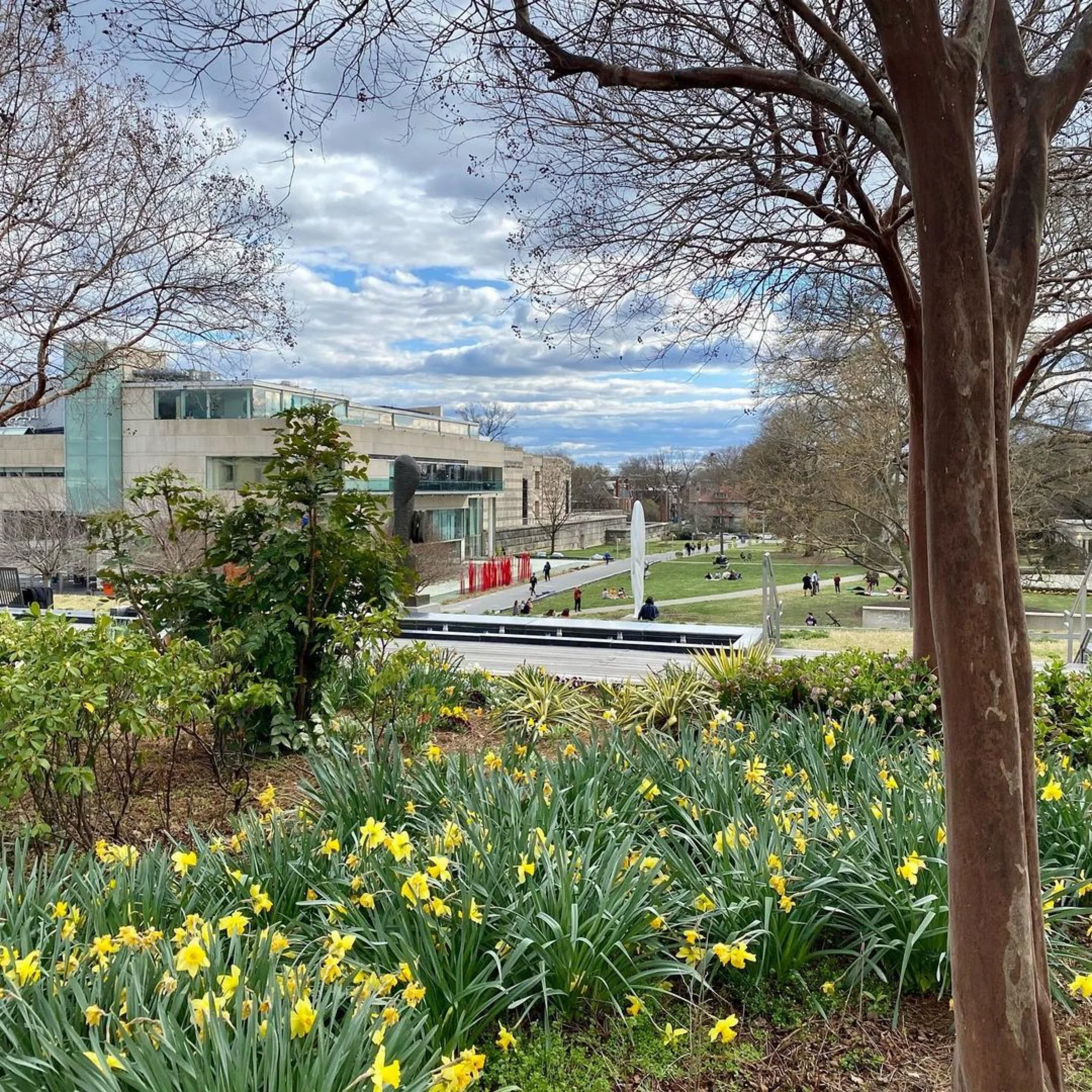 VCU Students: What to Eat, Drink, See, & Do on Campus (& Around ...