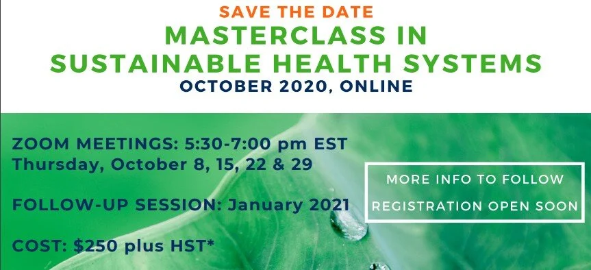 Masterclass in Sustainable Health Systems — Centre for Sustainable ...