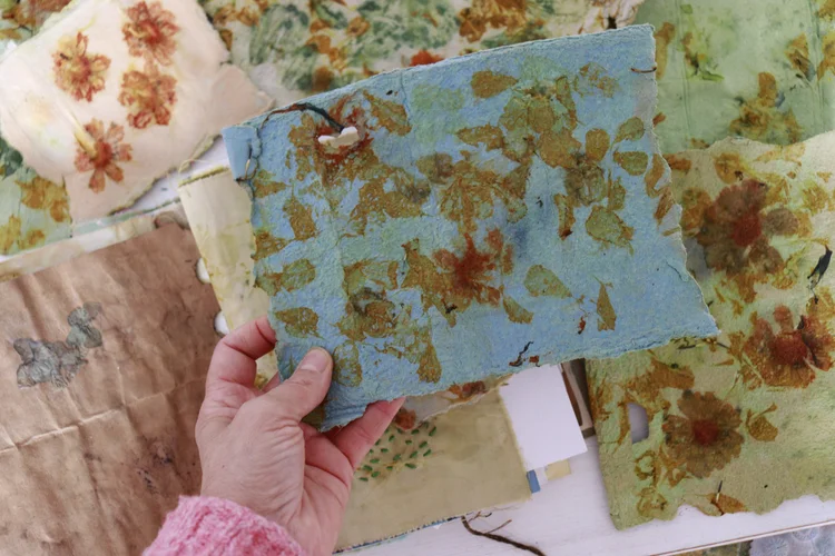 HOW TO ECOPRINT ON PAPER WITH FLOWERS — FRANCISCA NUNES Mixed Media ...