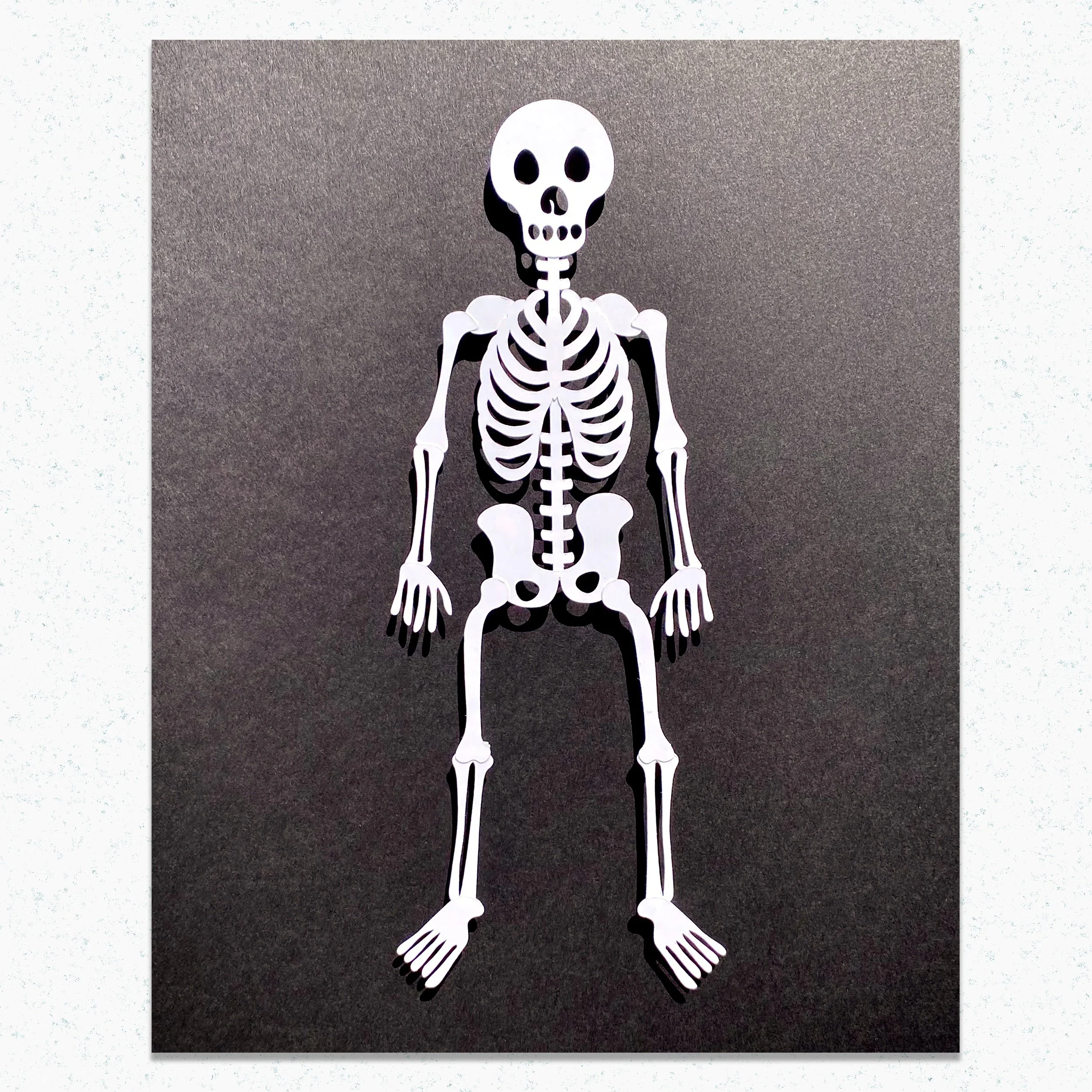 Shop — Paper for the People